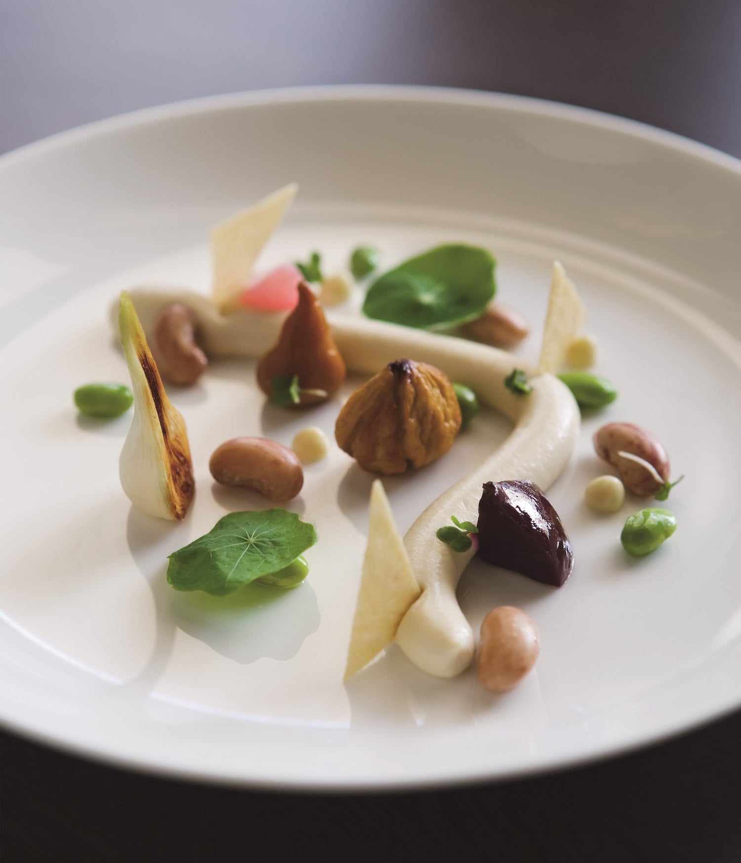 Jerusalem Artichoke Custard, New Season Garlic, Soy, Borlotti Beans